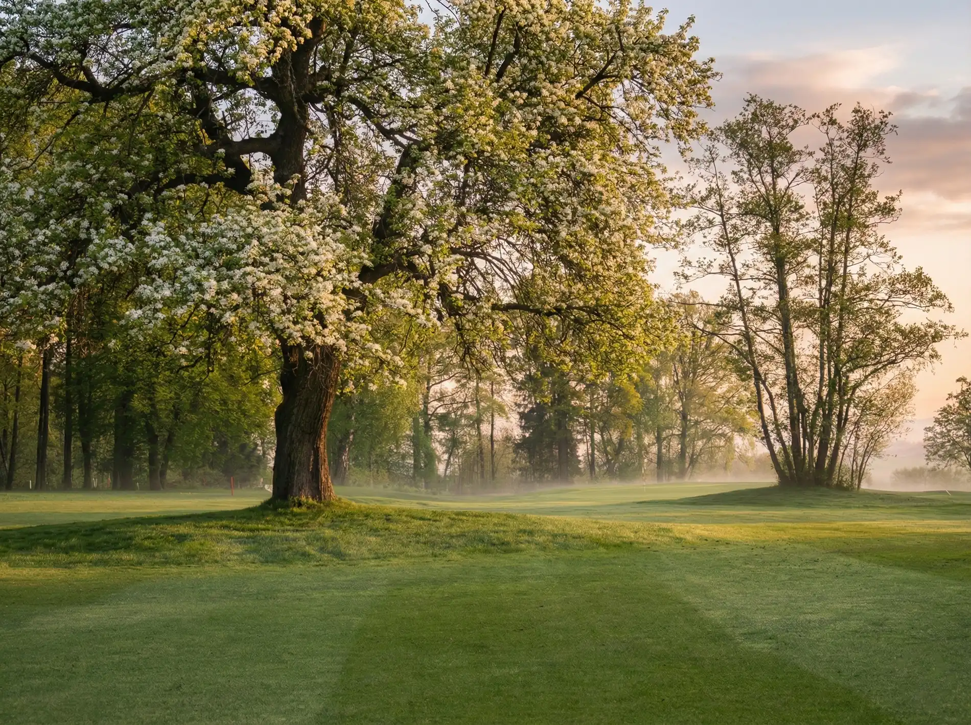 Golf Club Swarco Amstetten-Ferschnitz — Fotos - Golf Post